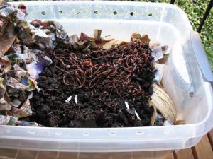 7 Easy Composting Methods For Lazy Gardeners - Gardeners' Magazine
