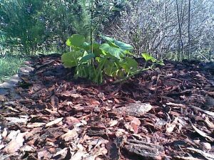 7 Easy Composting Methods For Lazy Gardeners - Gardeners' Magazine