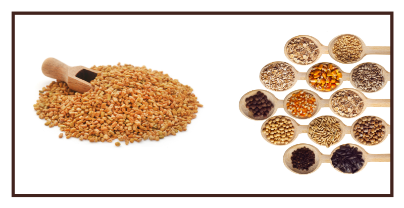 Sowing Seeds: Absolutely Everything You Need to Know - Gardeners' Magazine