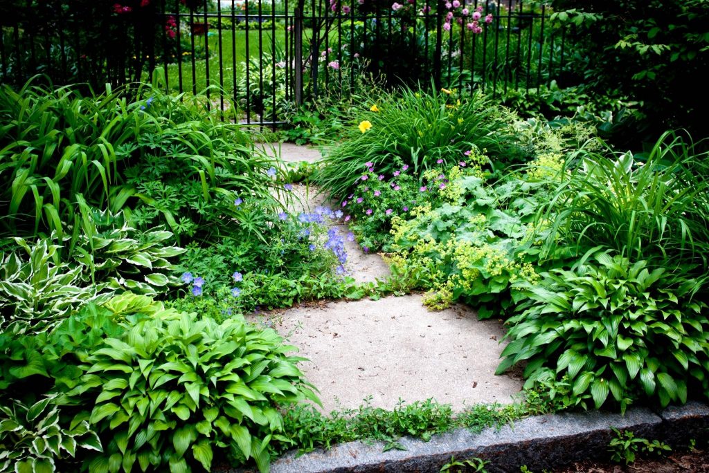 How To Design Your Shade Garden - Gardeners' Magazine