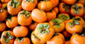 Persimmon Tree: How to Grow and Care for Your Persimmon Plant ...