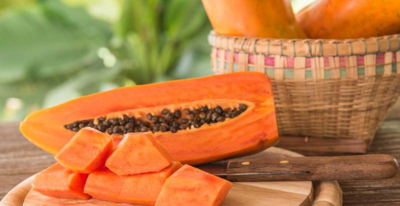 Papaya Tree: How to Plant, Grow, Care and Harvest Papaya - Gardeners ...