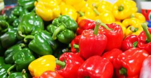 What is Bell Pepper? How to Plant, Grow, and Harvest Capsicum ...