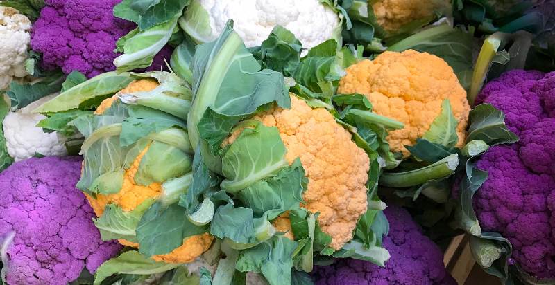What is Cauliflower? How to Plant, Grow, and Harvest Cauliflower ...