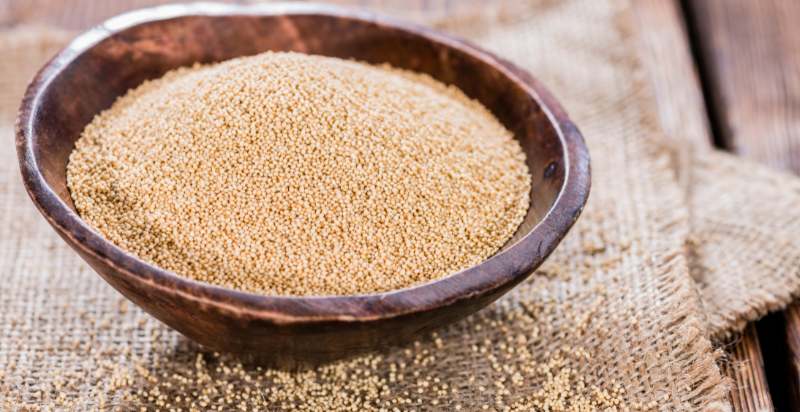 What is Amaranth? How to Plant, Grow, and Harvest Amaranth Greens ...