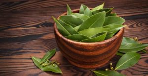 Bay Leaves: Description, Flavor, Benefits, And Uses - Gardeners' Magazine