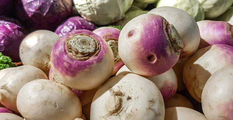 What is Rutabaga? How to Plant, Grow, and Harvest Rutabaga Roots ...
