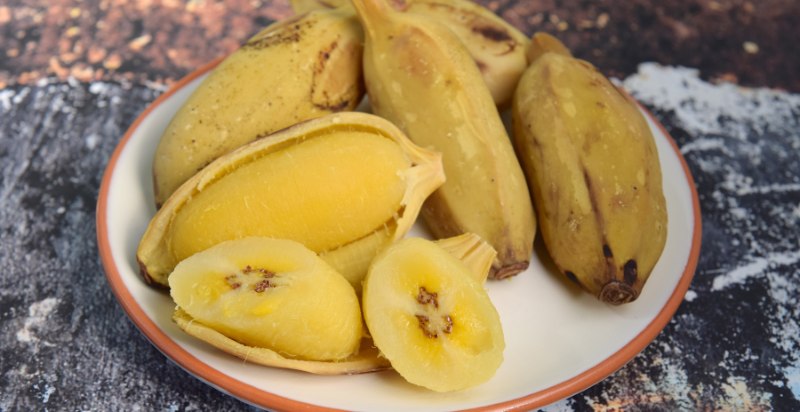 Saba Bananas: History, Nutritional Benefits, And Facts - Gardeners ...