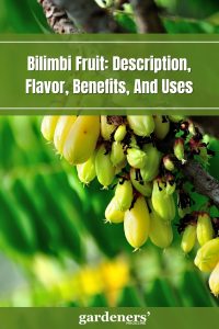 Bilimbi Fruit: Description, Flavor, Benefits, And Uses - Gardeners ...