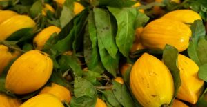Egg Fruit: Description, Flavor, Benefits, And Uses - Gardeners' Magazine
