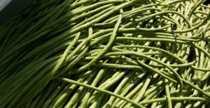 Long Beans (Yardlong Bean): Description, Flavor, Benefits, And Uses ...