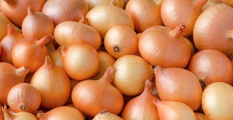 Yellow Sweet Spanish Onion: Description, Flavor, Benefits, And Uses ...