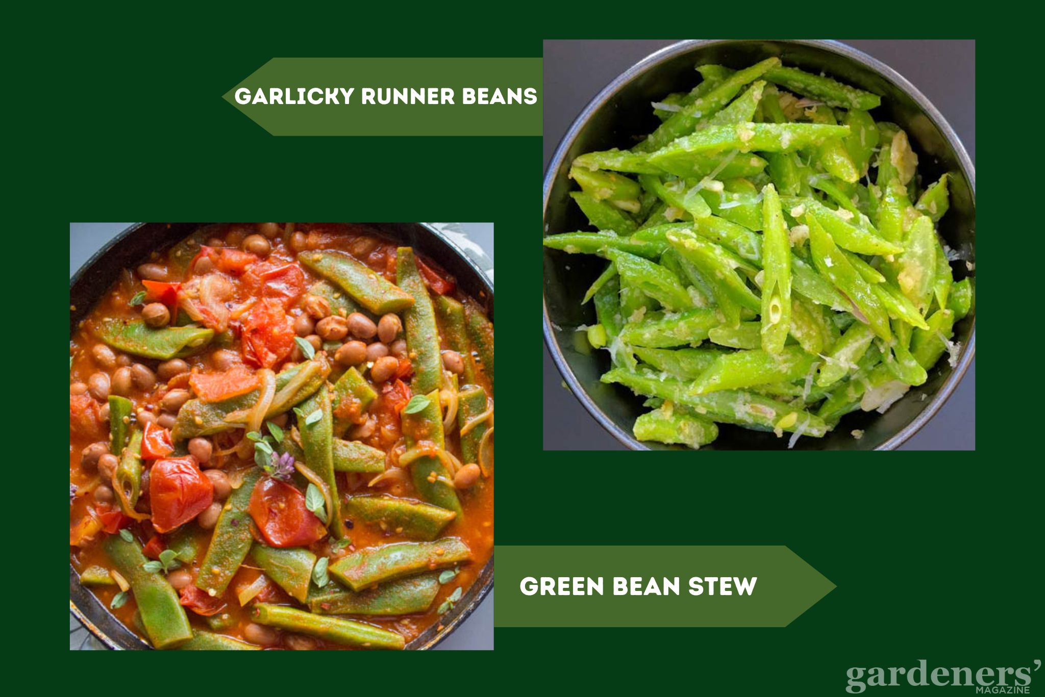 Runner Beans (Scarlet Runner Bean): Description, Flavor, Benefits, And ...