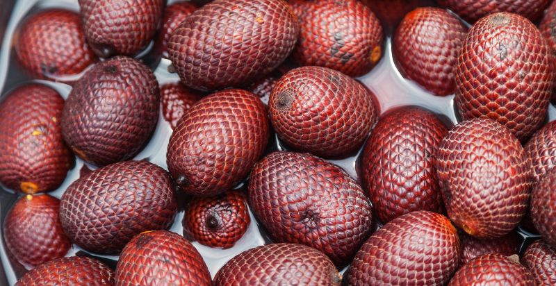 Aguaje Fruit: Description, Flavor, Benefits, And Uses - Gardeners' Magazine