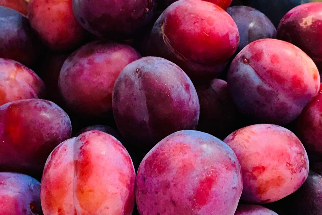 Elephant Heart Plums: Description, Flavor, Benefits, And Uses ...