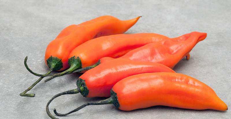 Aji Amarillo Peppers: Description, Flavor, Benefits, And Uses ...