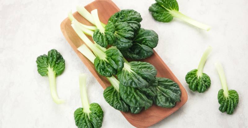 Tatsoi: Description, Flavor, Benefits, And Uses - Gardeners' Magazine