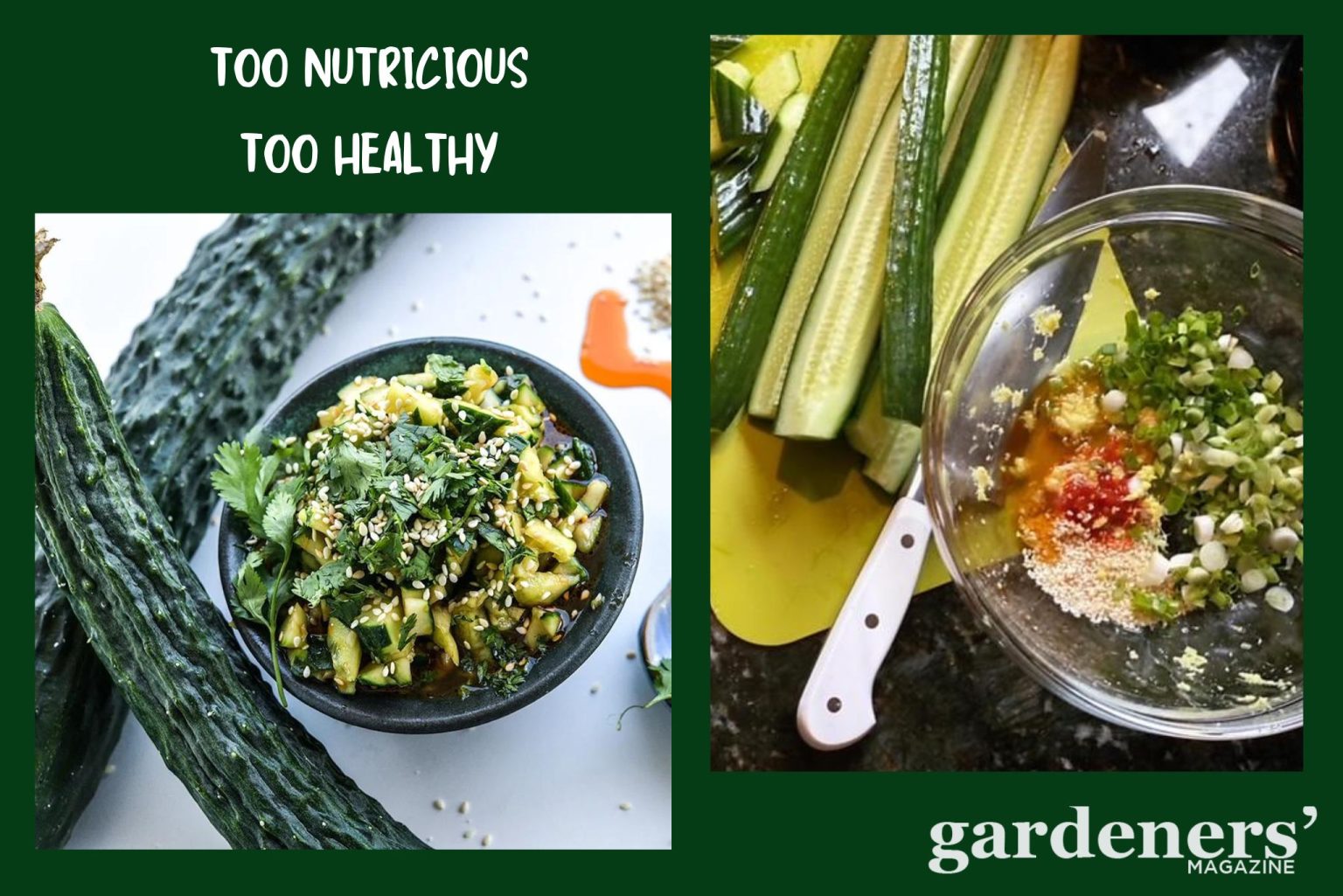 Everything You Wanted to Know About Suyo Long Cucumbers - Gardeners ...