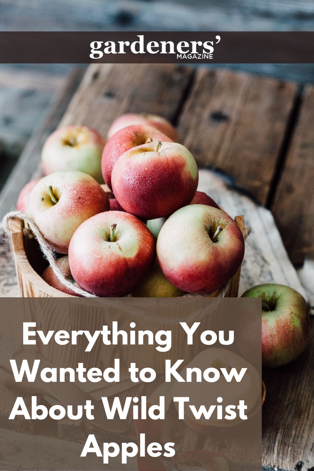 Everything You Wanted To Know About Wild Twist Apples