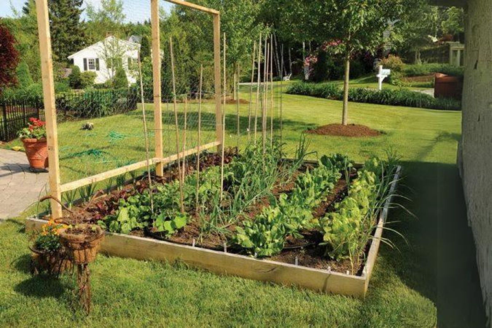 Free Vegetable Garden Layout, Plans and Planting Guides