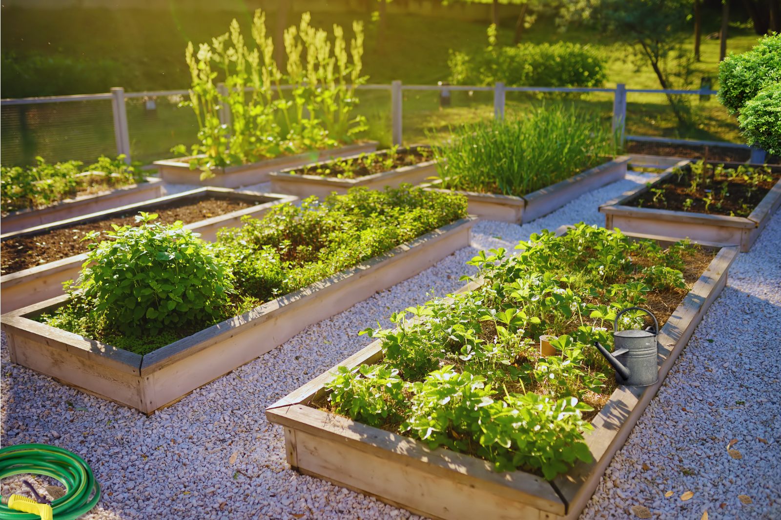 Free Vegetable Garden Layout, Plans and Planting Guides