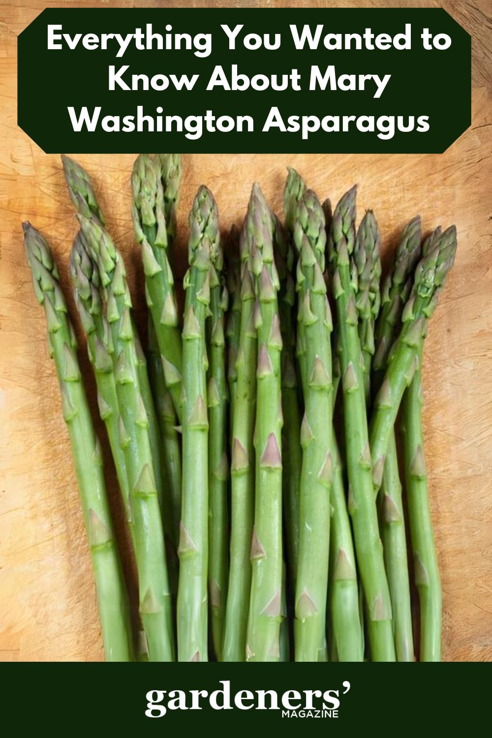 Everything You Wanted to know about Mary Washington Asparagus