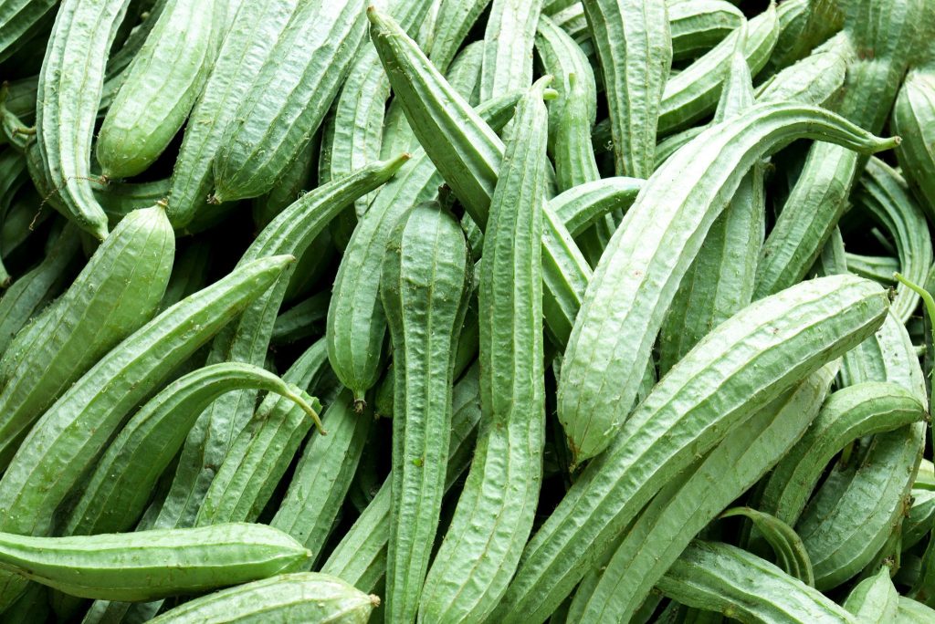 Everything You Wanted To Know About Ridge Gourd / Chinese Okra