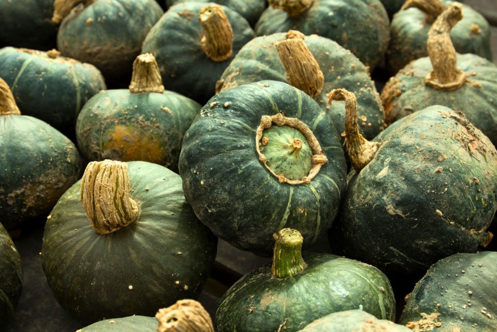Everything You Wanted To Know About Buttercup Winter Squash