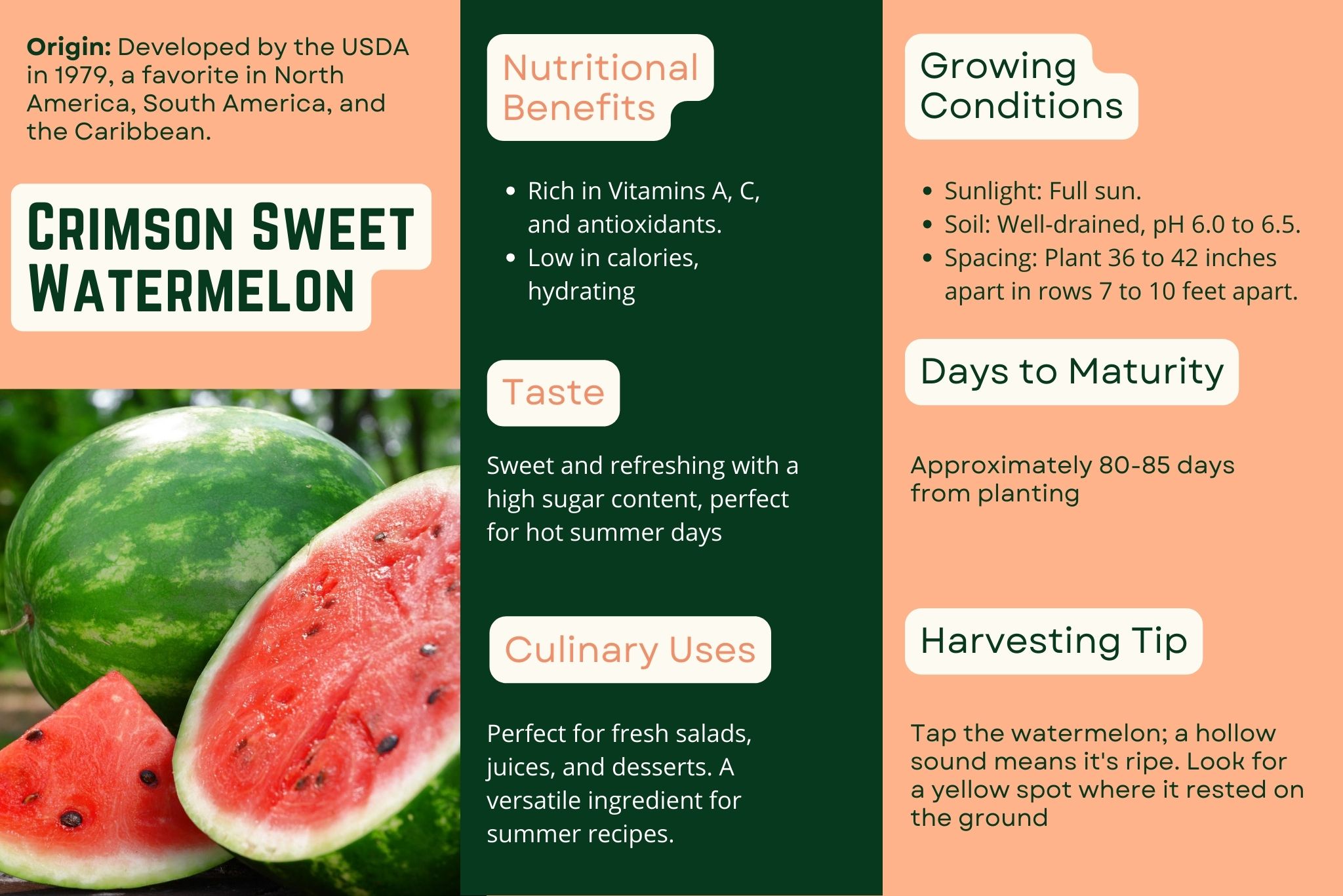 Crimson Sweet Watermelon: Description, Flavor, Benefits, And Uses ...